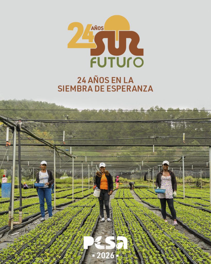 Sur Futuro celebra 24 años en la siembra de esperanza
